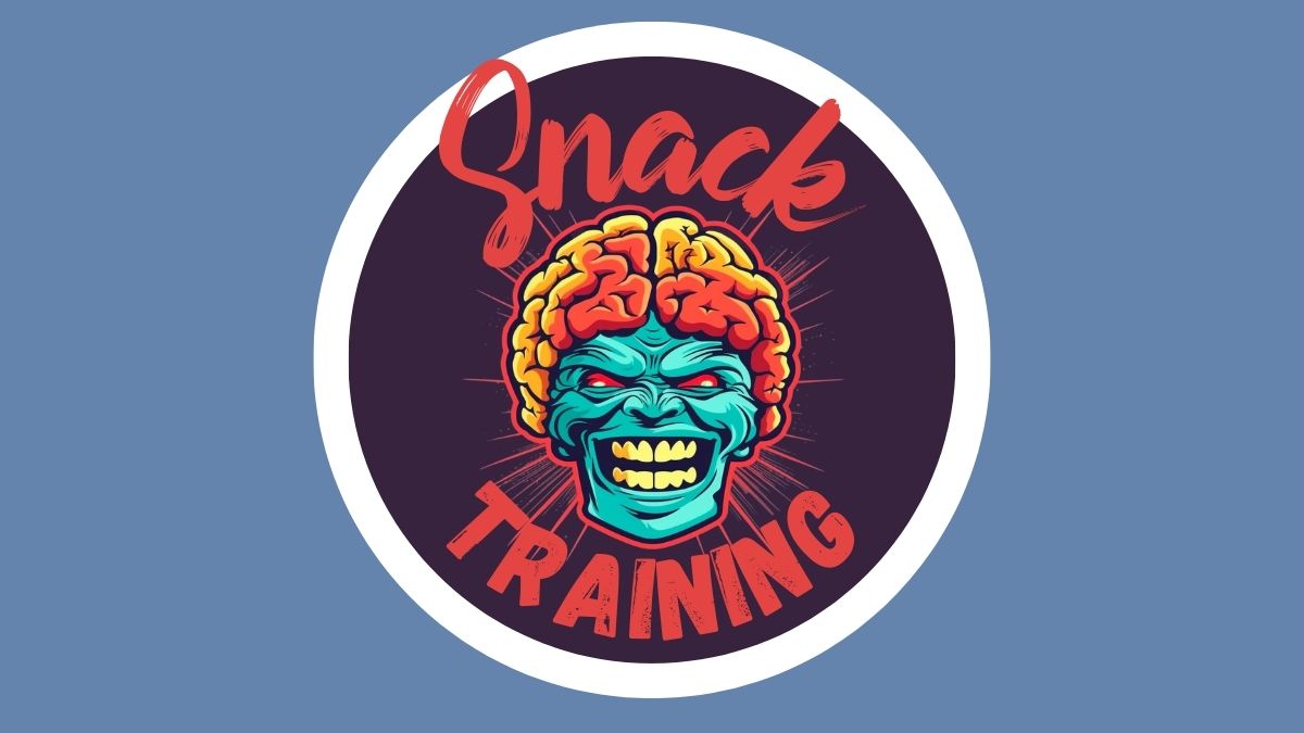 Snack Training : Boostez vos apprentissages en quelques minutes ...